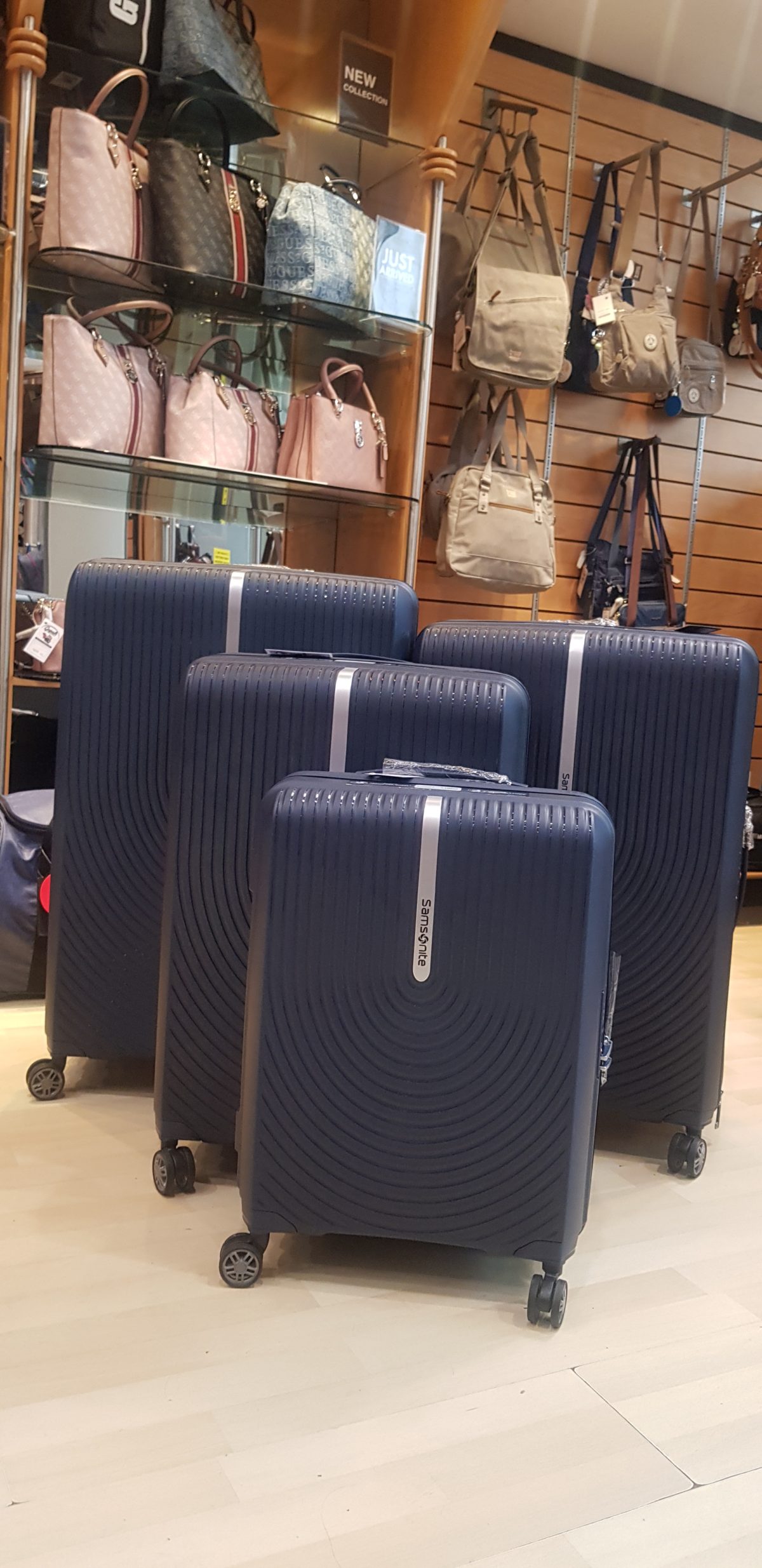 Samsonite Hi-Fi | Gopals Bags & Luggage